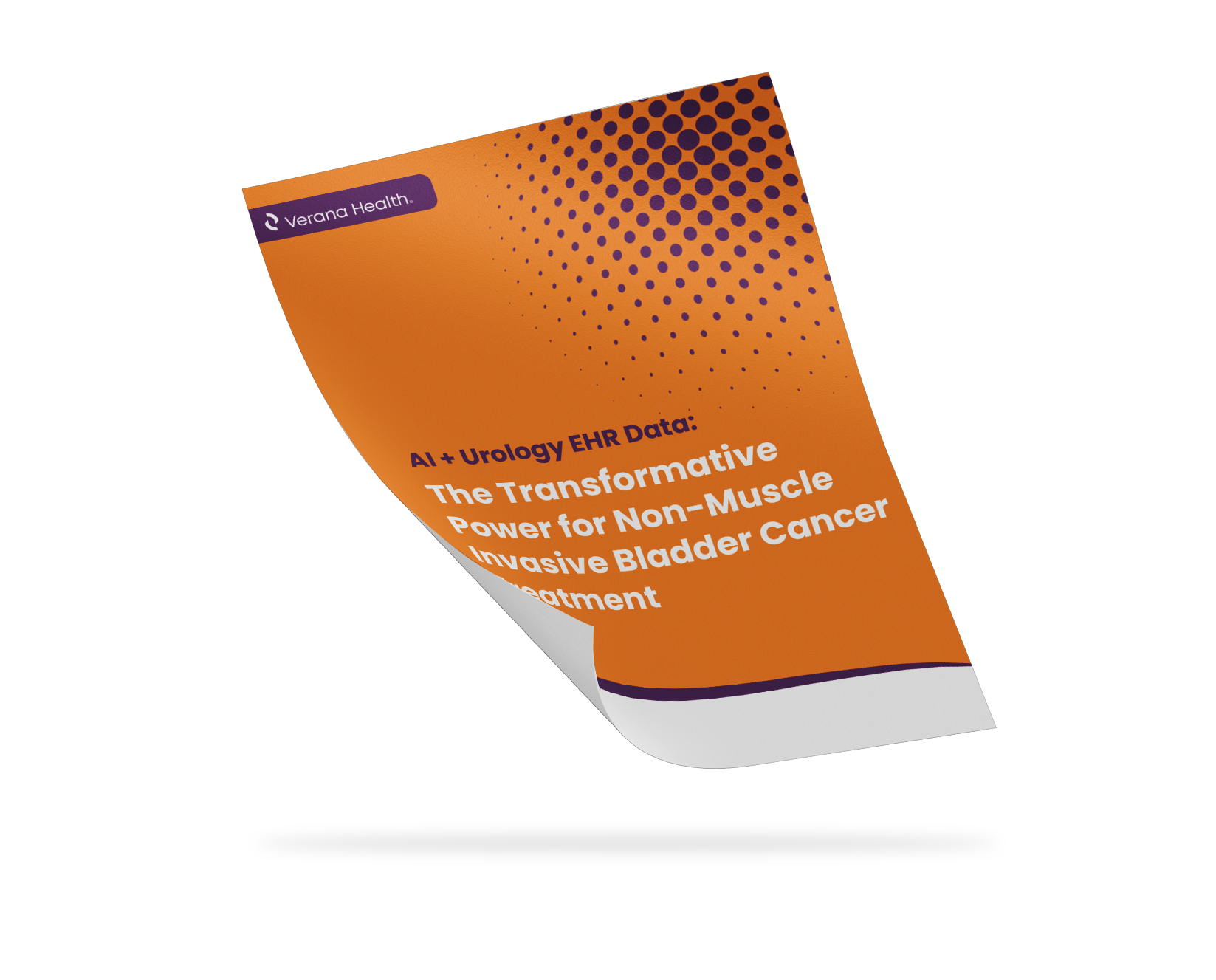 AI + Urology EHR Data: The Transformative Power for Non-Muscle Invasive ...